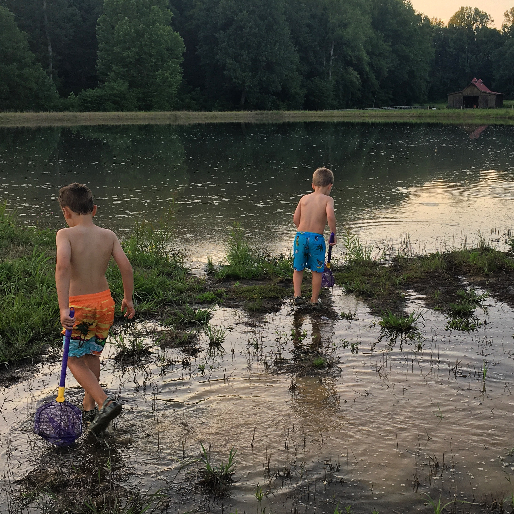 Expiration Dates – Words Like Honey