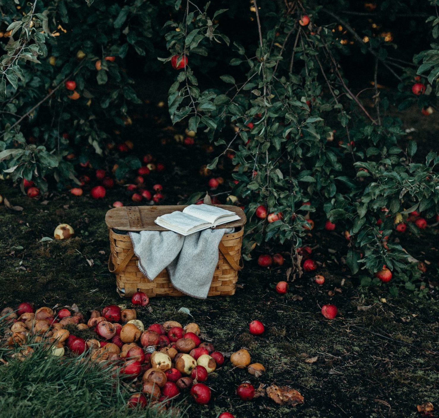 Comparing Apples to the Apple-Maker – Words Like Honey